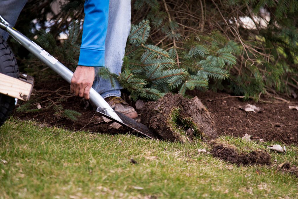 Spring Cleanup Service - Spring Yard Cleanup Crystal Lake | Elite Lawn Care