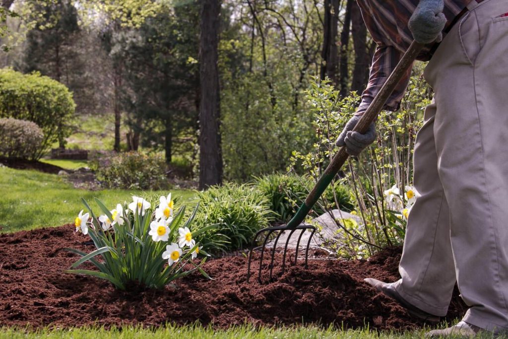 Spring Cleanup Service - Spring Yard Cleanup Crystal Lake | Elite Lawn Care