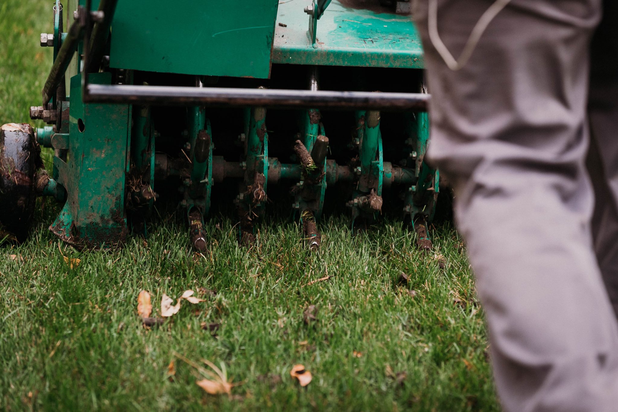Local Bush Trimming Service - Crystal Lake, IL | Elite Lawn Care