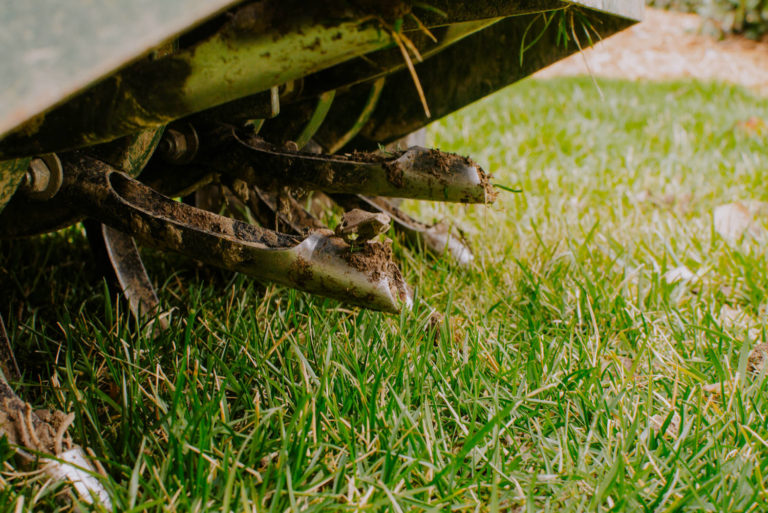 Watering After Overseeding Guide - Elite Lawn Care