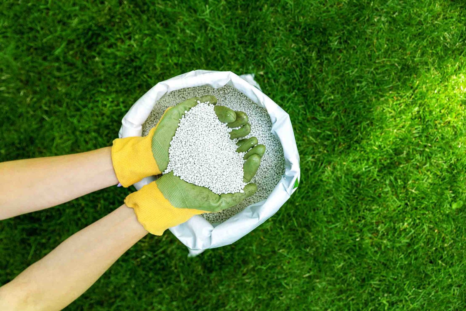 Granular vs. Liquid Fertilizer: Which Should You Use? - Elite Lawn Care